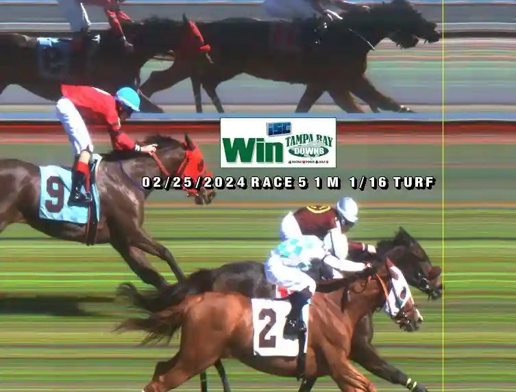 Finish Photos | Tampa Bay Downs