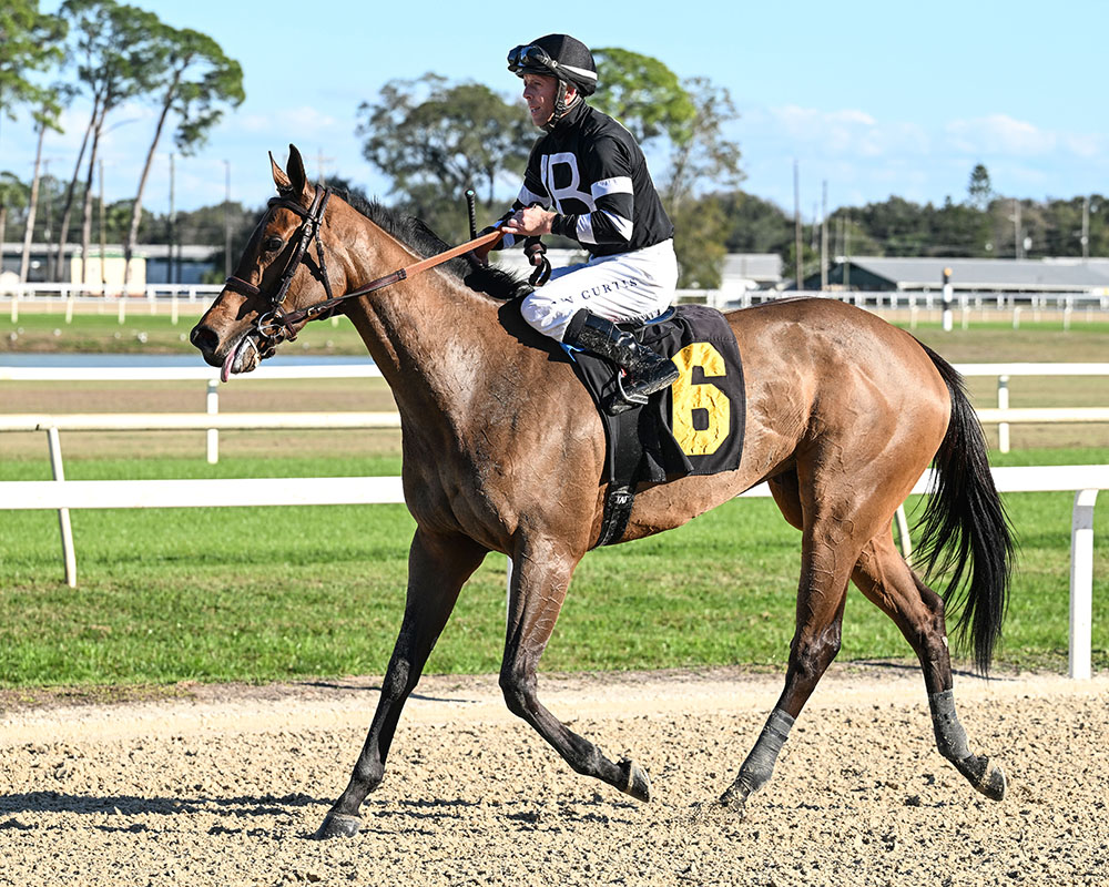 DREXEL HILL RETURNS WITH FLOURISH, WINS WAYWARD LASS; TESSELLATE WINS ...